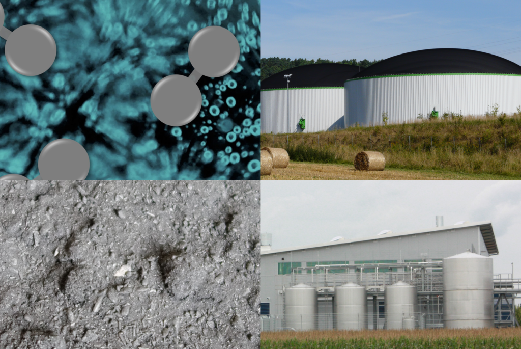 C.A.R.M.E.N.-WebSeminar-Reihe "Multitalent Bioraffinerie - Einführung ...