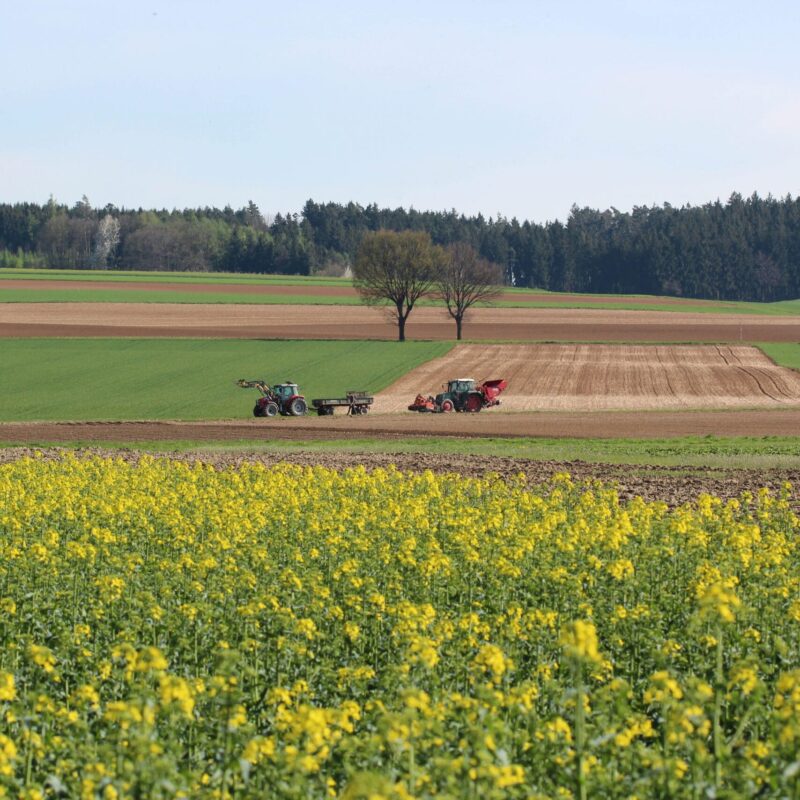 Erneuerbare-Energien-Richtlinie RED III veröffentlicht - C.A.R.M.E.N. e.V.
